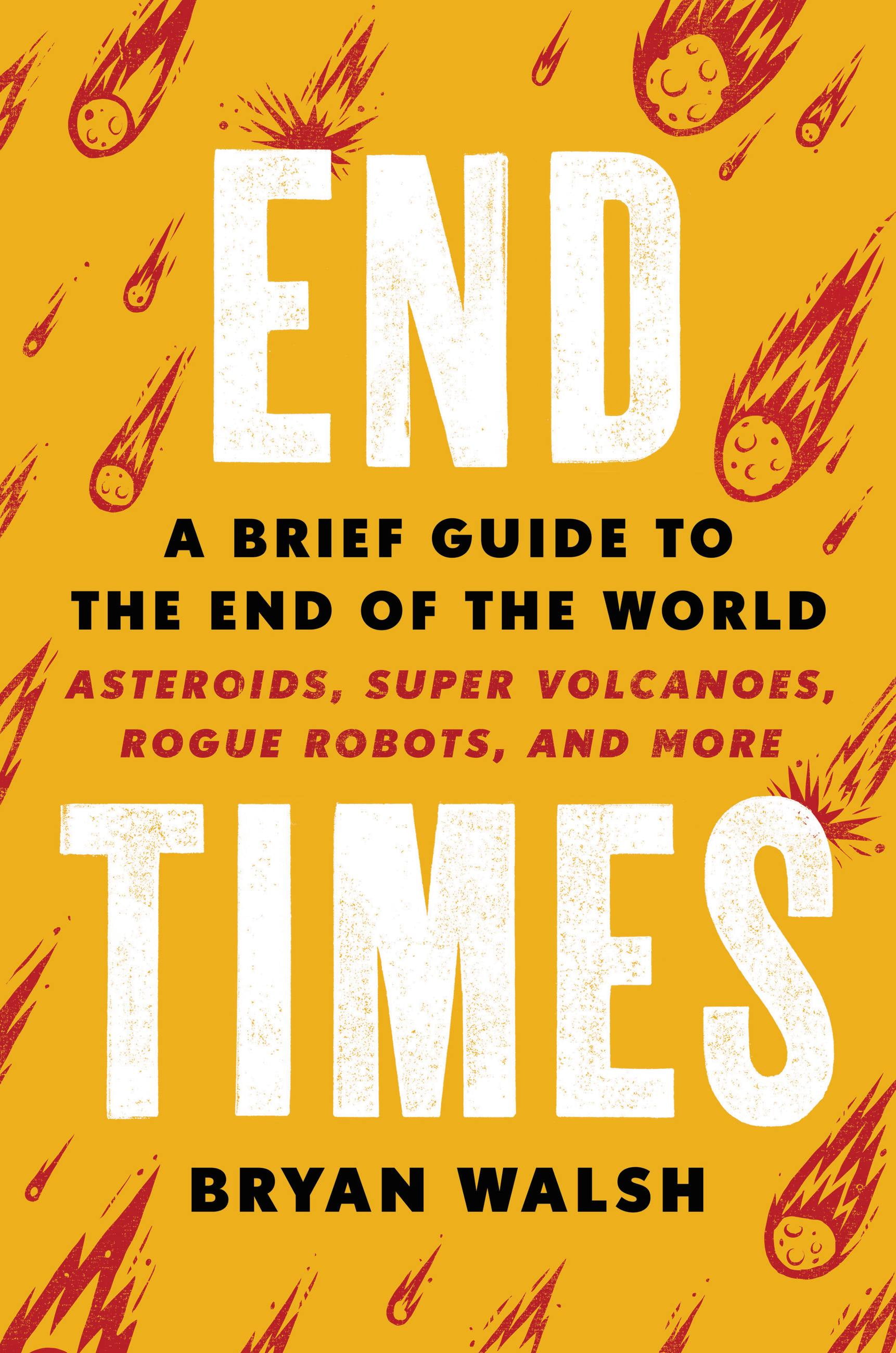 End Times : A Brief Guide to the End of the World (Hardcover) - Walmart.com