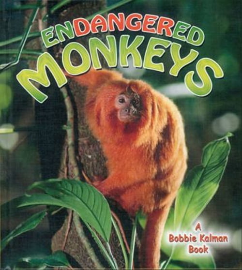 Pre-Owned Endangered Monkeys (Library Binding) 9780778718628 - Walmart.com