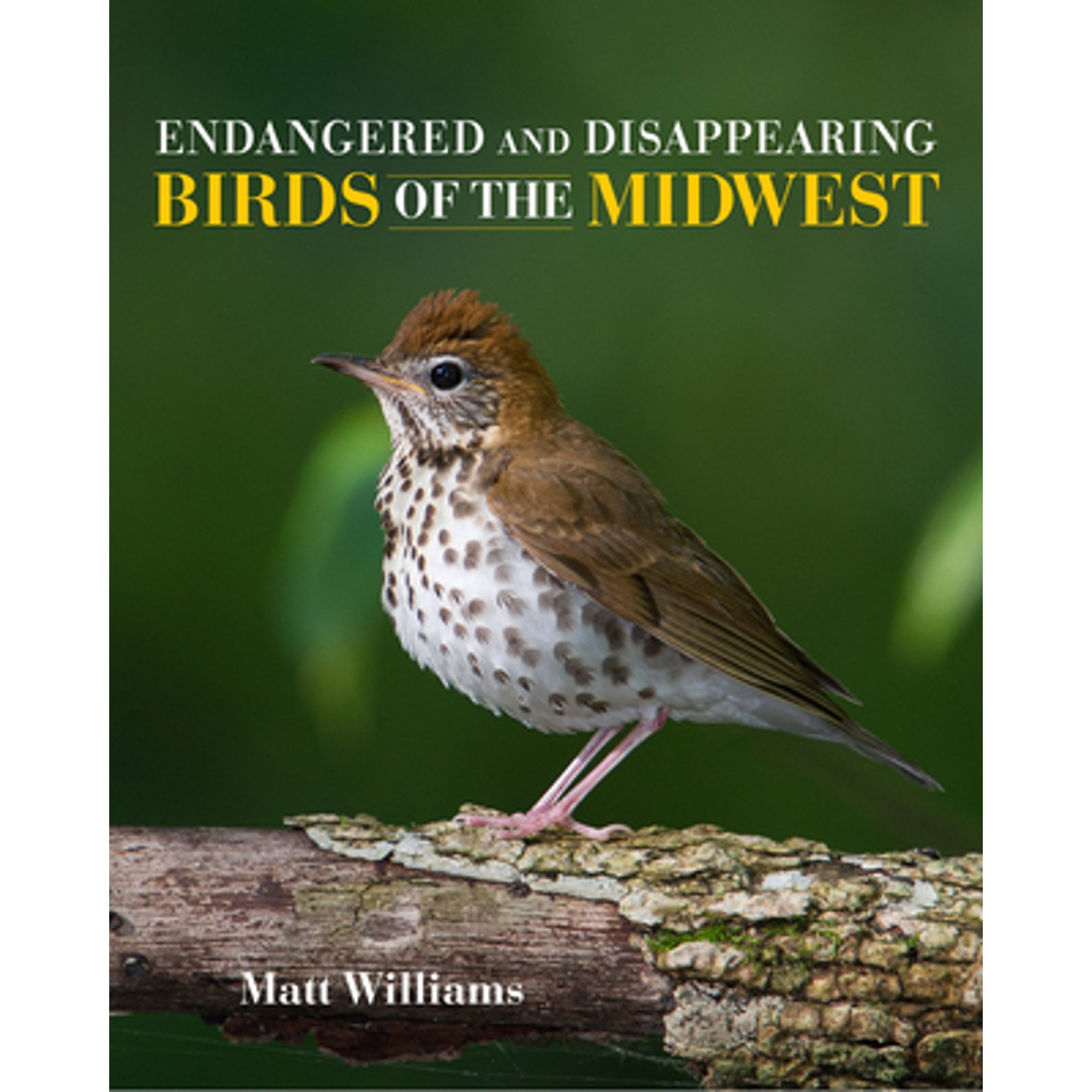 Pre-Owned Endangered and Disappearing Birds of the Midwest (Hardcover ...