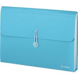 Enday Accordion Folder with Pockets, 13 Pockets A4 Document Organizer ...