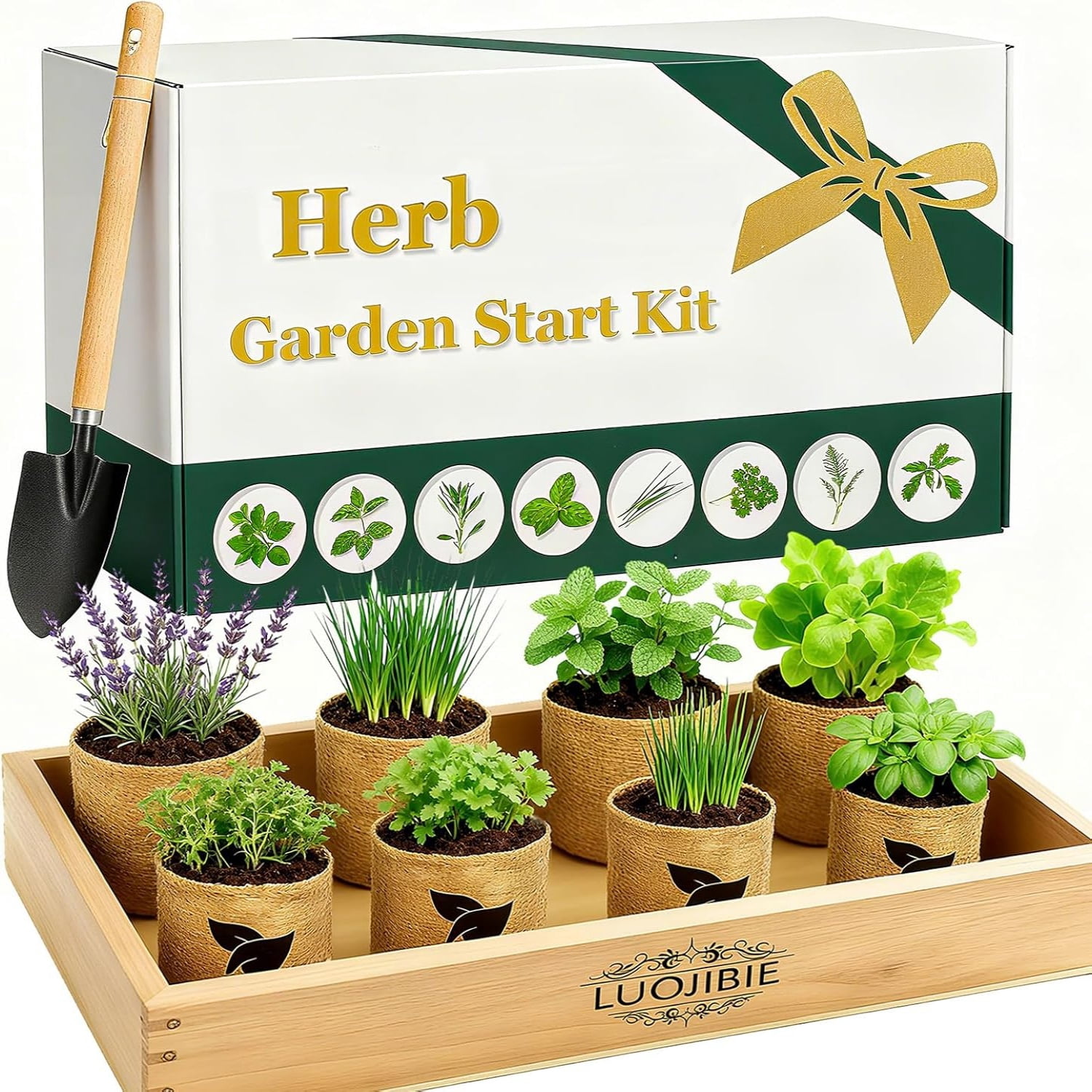 Endbug 8 Kinds Heirloom Herb Garden Starter Kit Complete DIY Growing ...