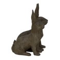 Endearing PS Rabbit - Walmart.com