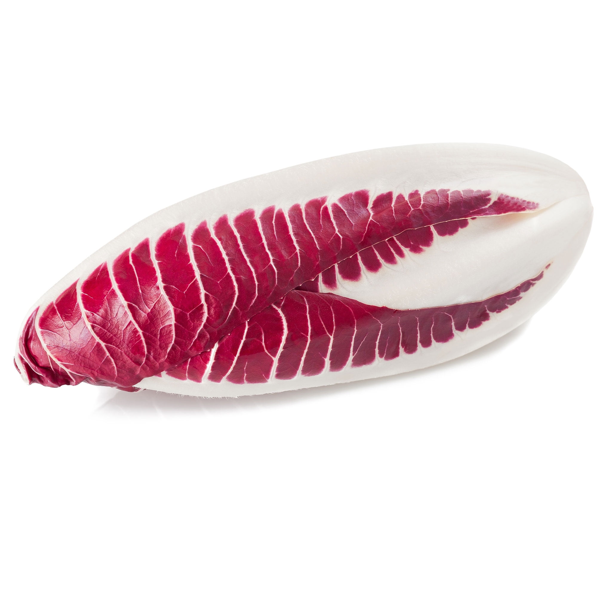 Endive Seeds - Red Treviso - 2 g Packet ~200 Seeds - Cichorium endivia ...