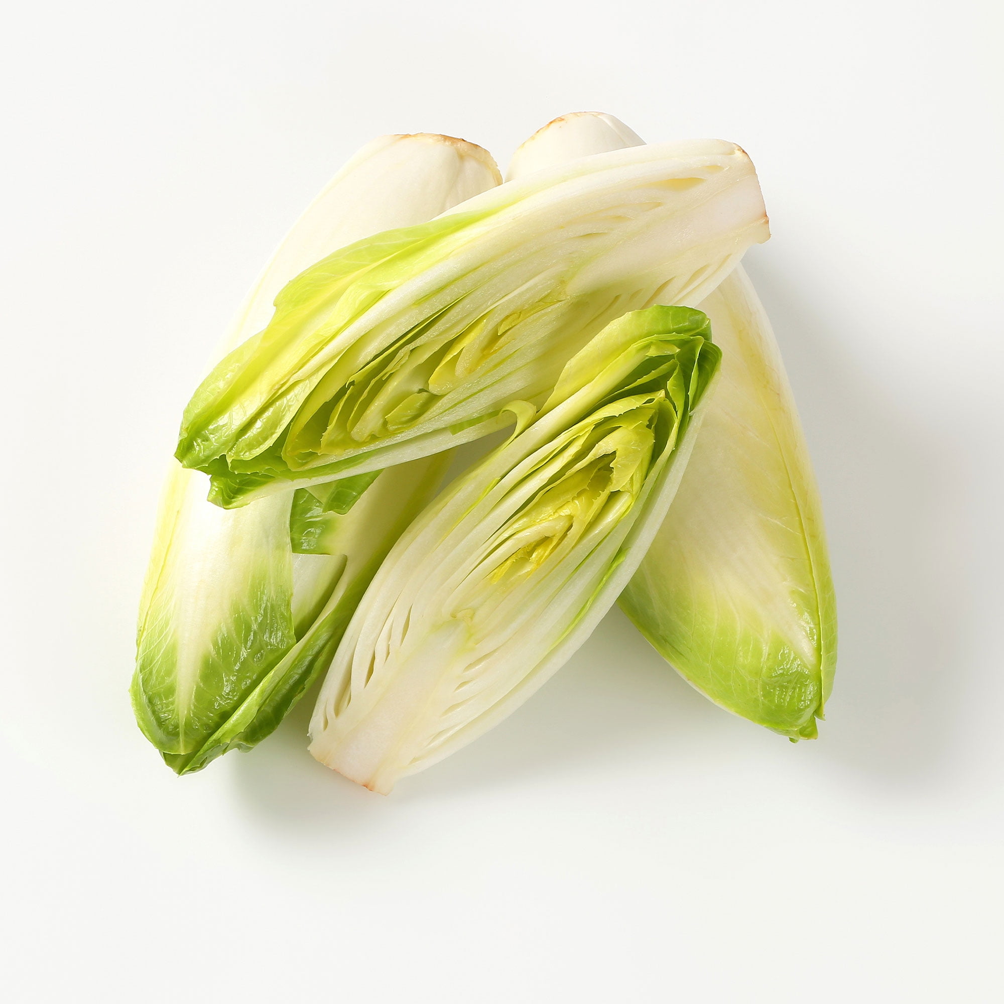 Endive Seeds - Sugar Loaf - .25 Oz ~2,800 Seeds - Cichorium endivia ...