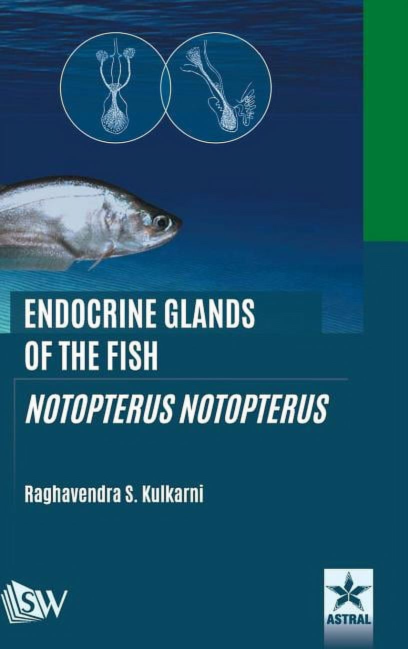 Endocrine Glands of the Fish: Notopterus notopterus (Hardcover ...