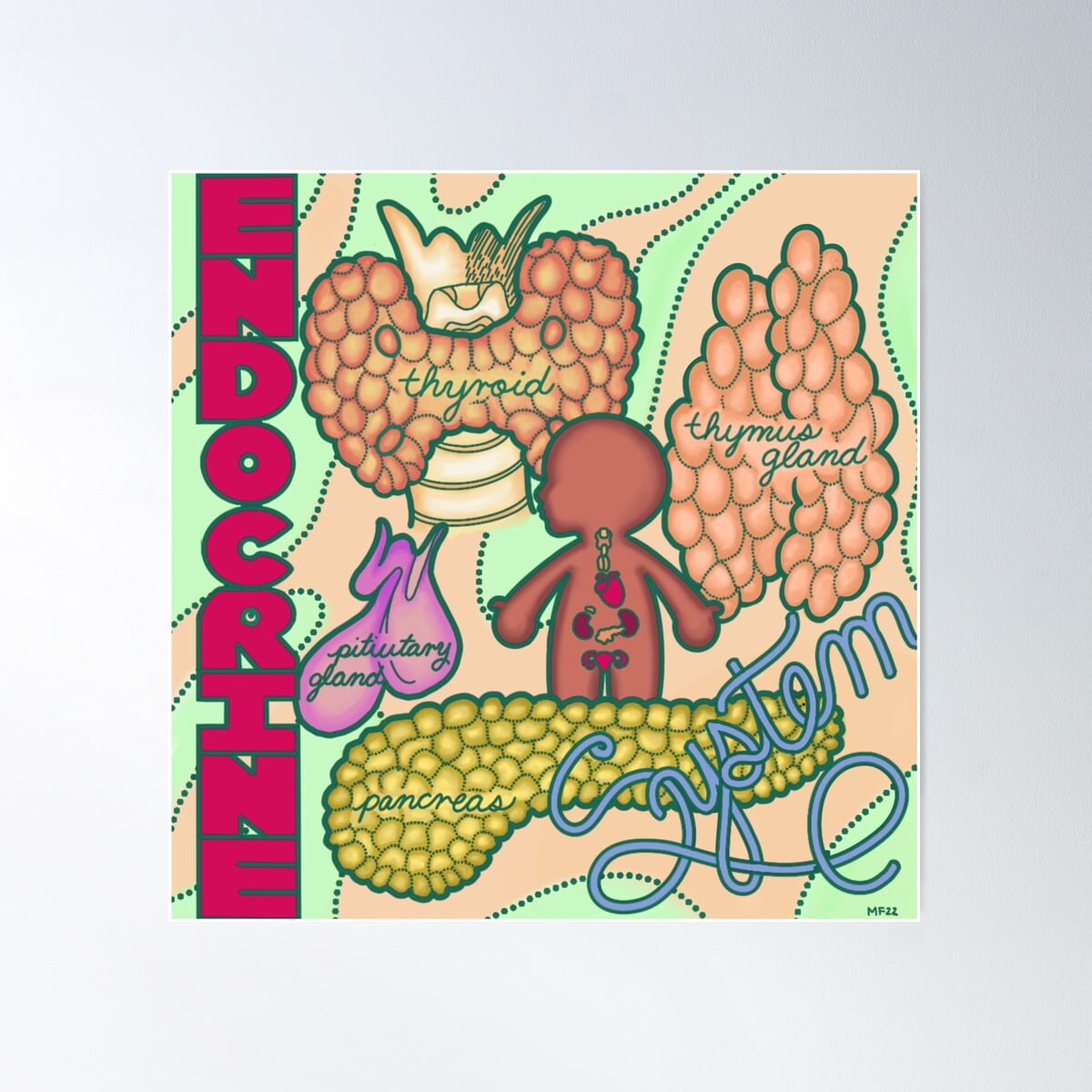 Endocrine System Poster Wall Art, Modern Wall Decor For Living Room ...