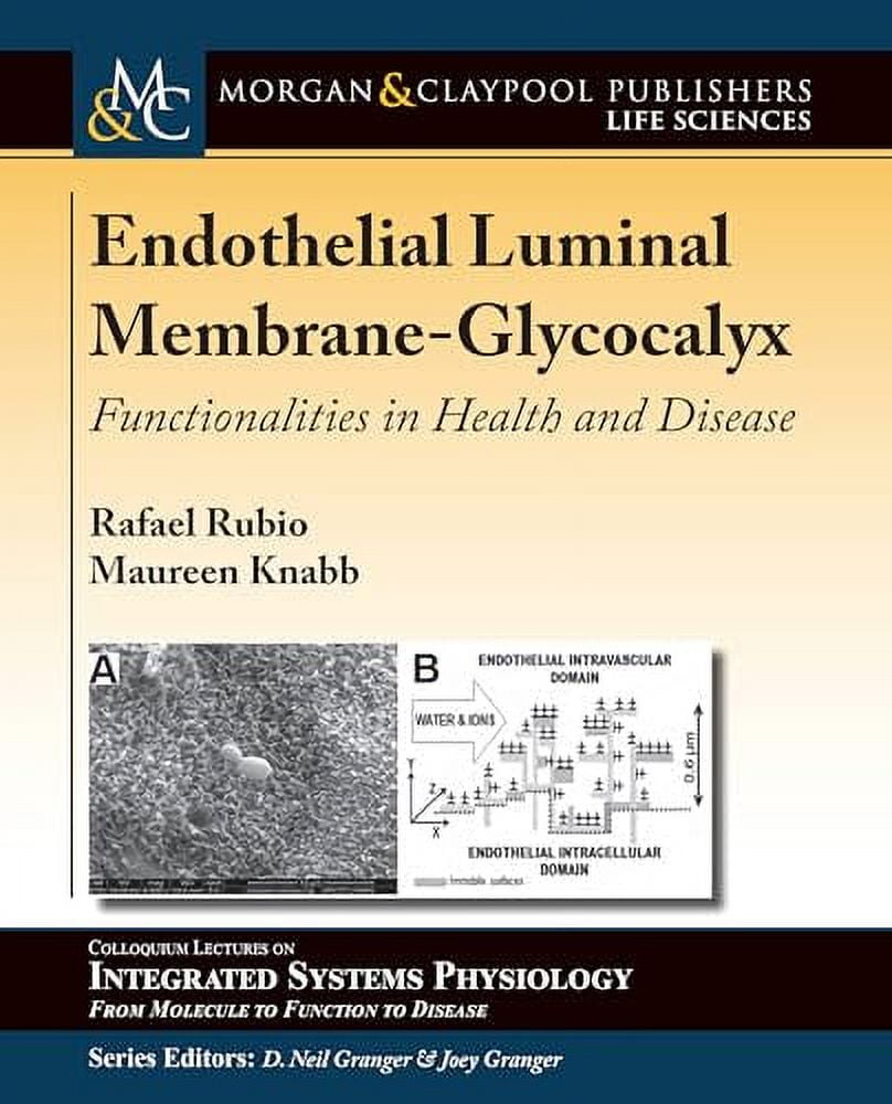 Pre-Owned Endothelial Luminal Membrane-Glycocalyx: Functionalities in ...