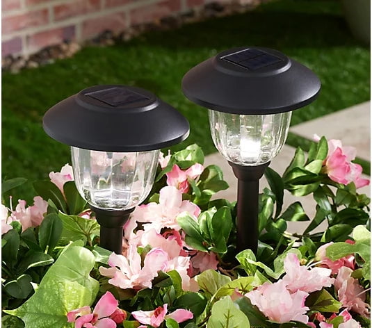 Energizer 12 Pack Solar Pathway Light Set 15-Lumen - Walmart.com