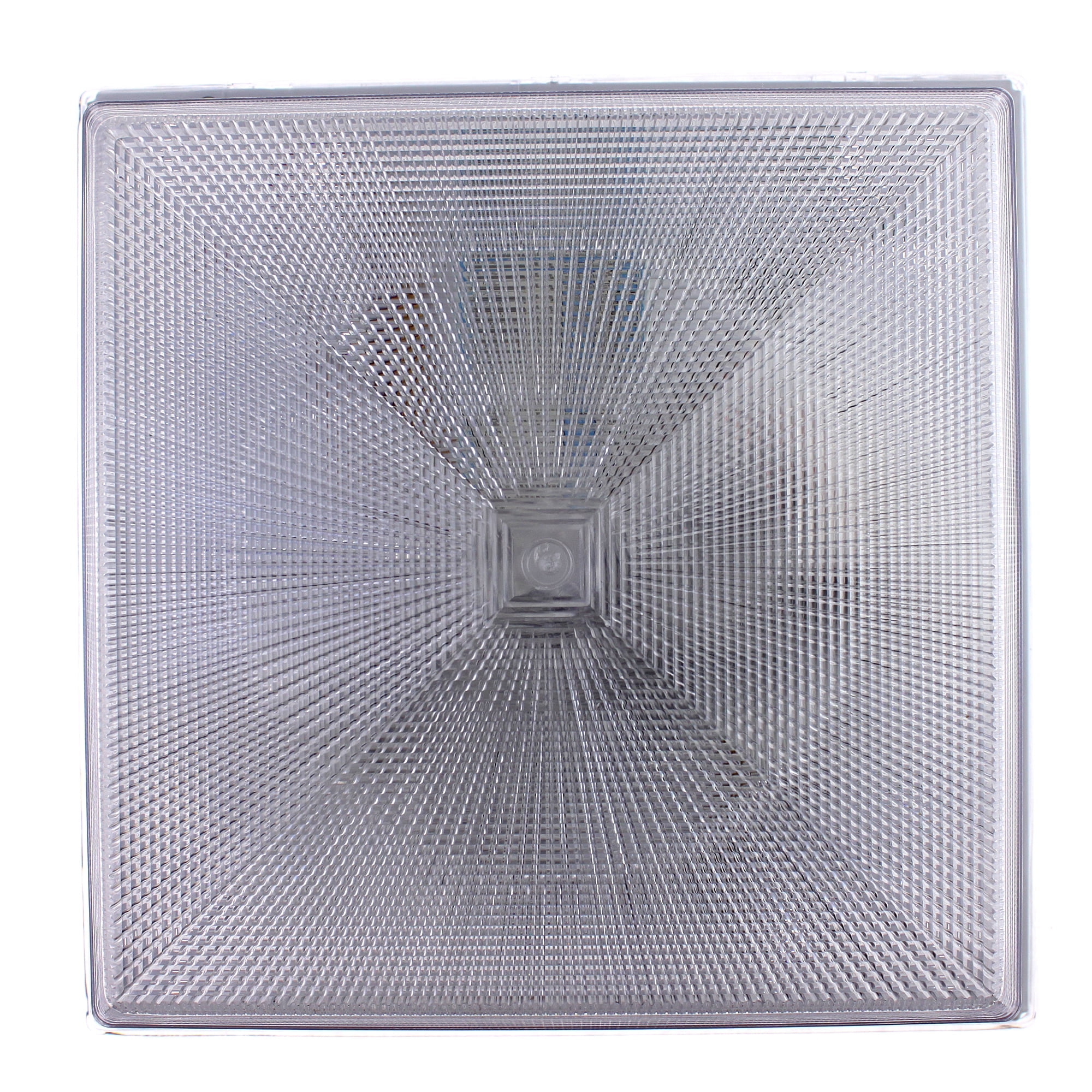 Enertron 20026X-L Indoor/Outdoor Damp Location CFL Flourescent Light ...