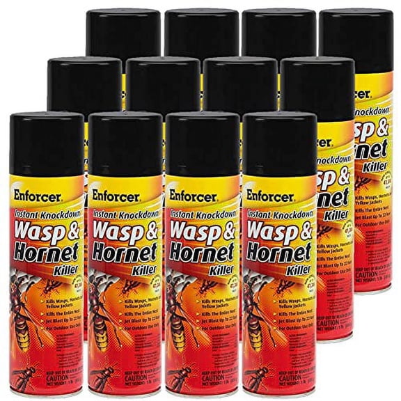 Wasp Spray in Pest Control - Walmart.com
