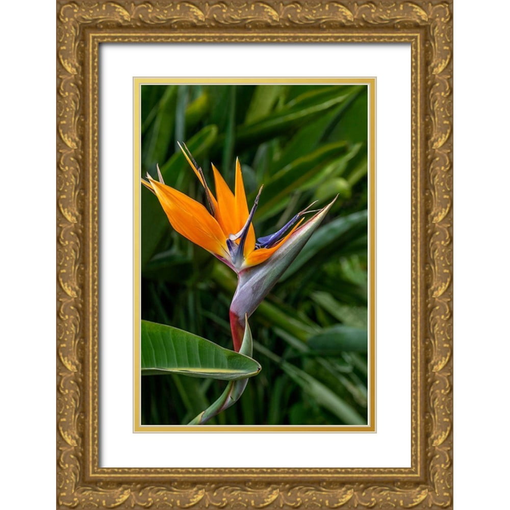 Engelbrecht, Jim 11x14 Gold Ornate Wood Framed with Double Matting ...