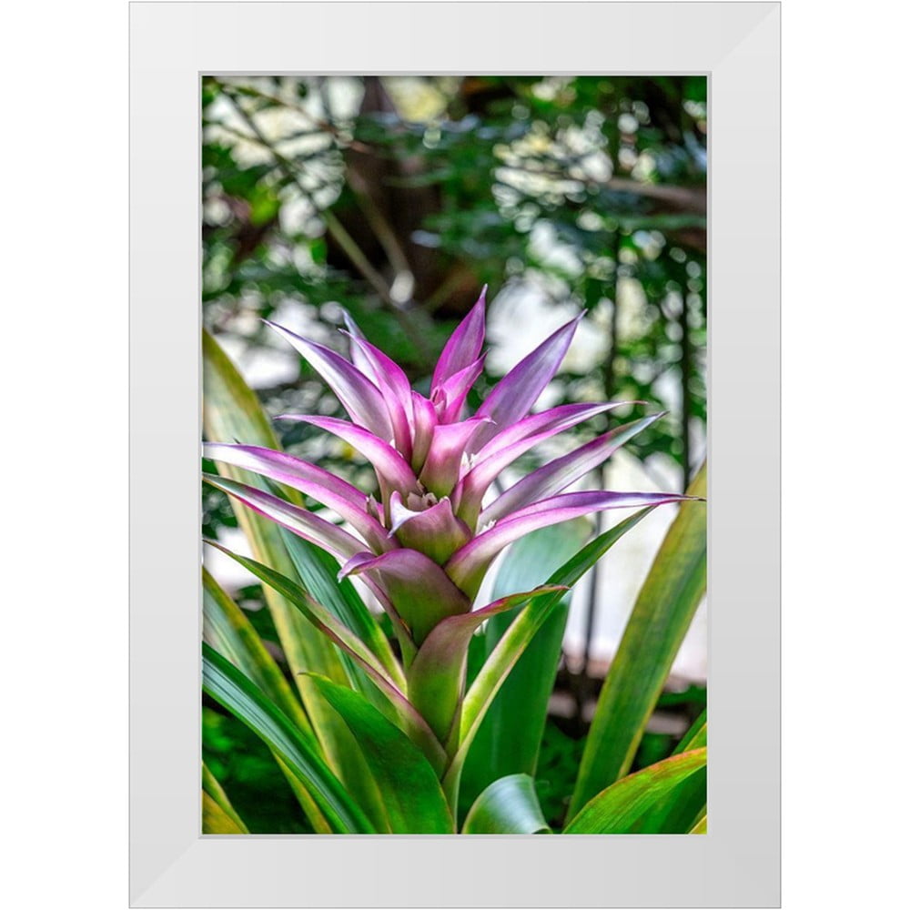 Engelbrecht, Lisa S. 17x24 White Modern Wood Framed Museum Art Print ...