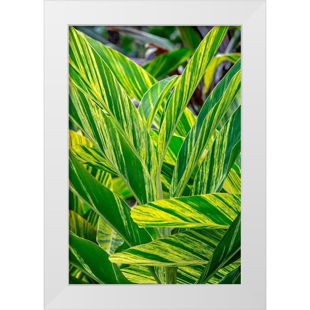 Engelbrecht, Lisa S. 17x24 White Modern Wood Framed Museum Art Print ...