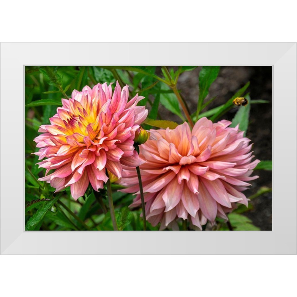 Engelbrecht, Lisa S. 18x13 White Modern Wood Framed Museum Art Print ...