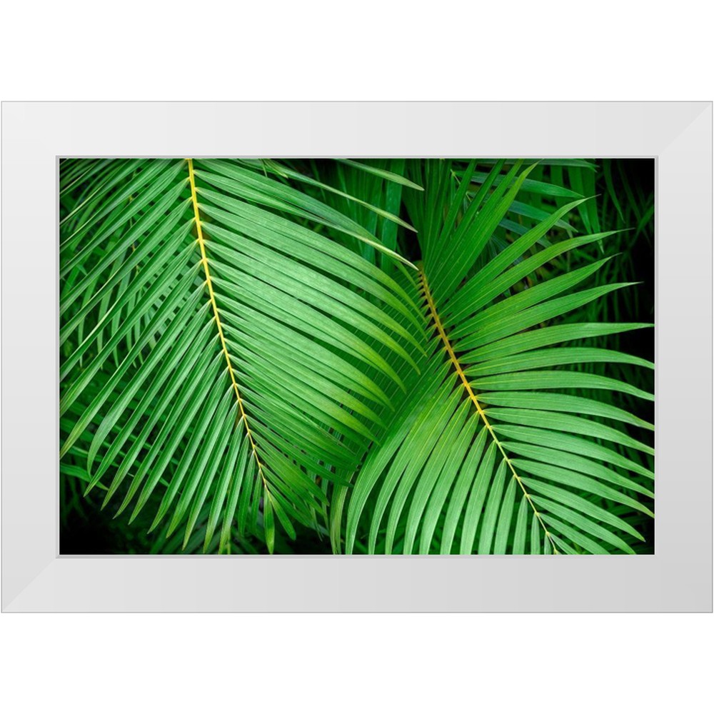 Engelbrecht, Lisa S. 18x13 White Modern Wood Framed Museum Art Print ...