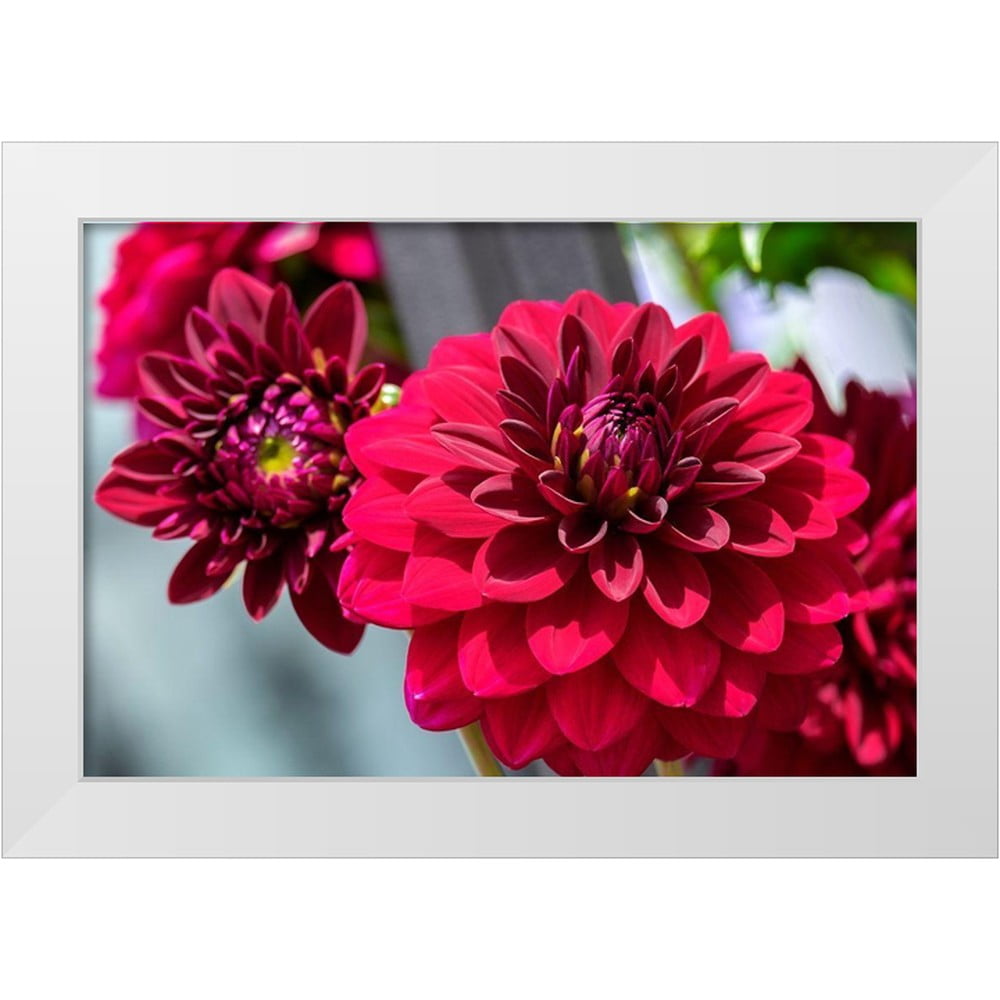 Engelbrecht, Lisa S. 18x13 White Modern Wood Framed Museum Art Print ...
