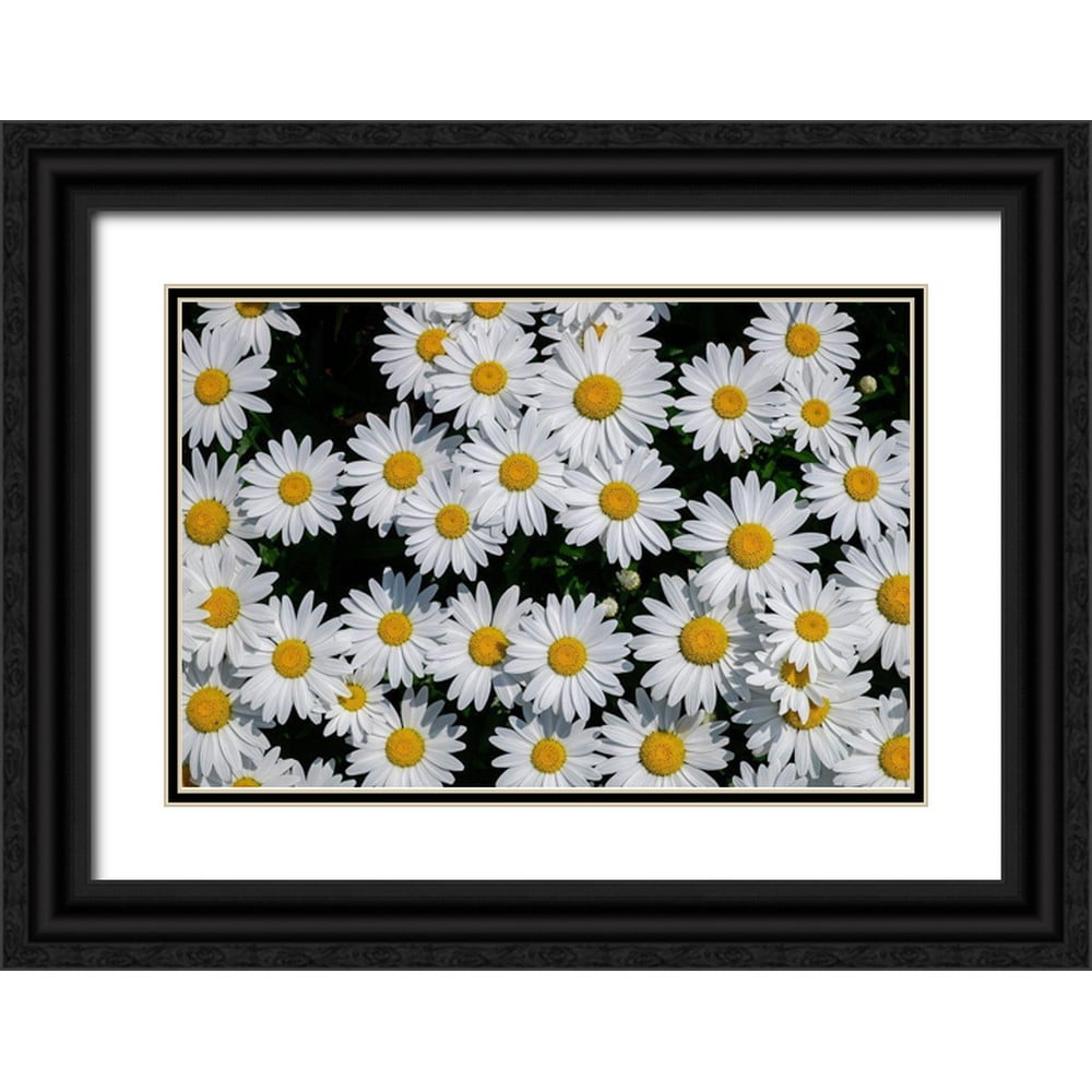 Engelbrecht, Lisa S. 32x23 Black Ornate Wood Framed with Double Matting ...