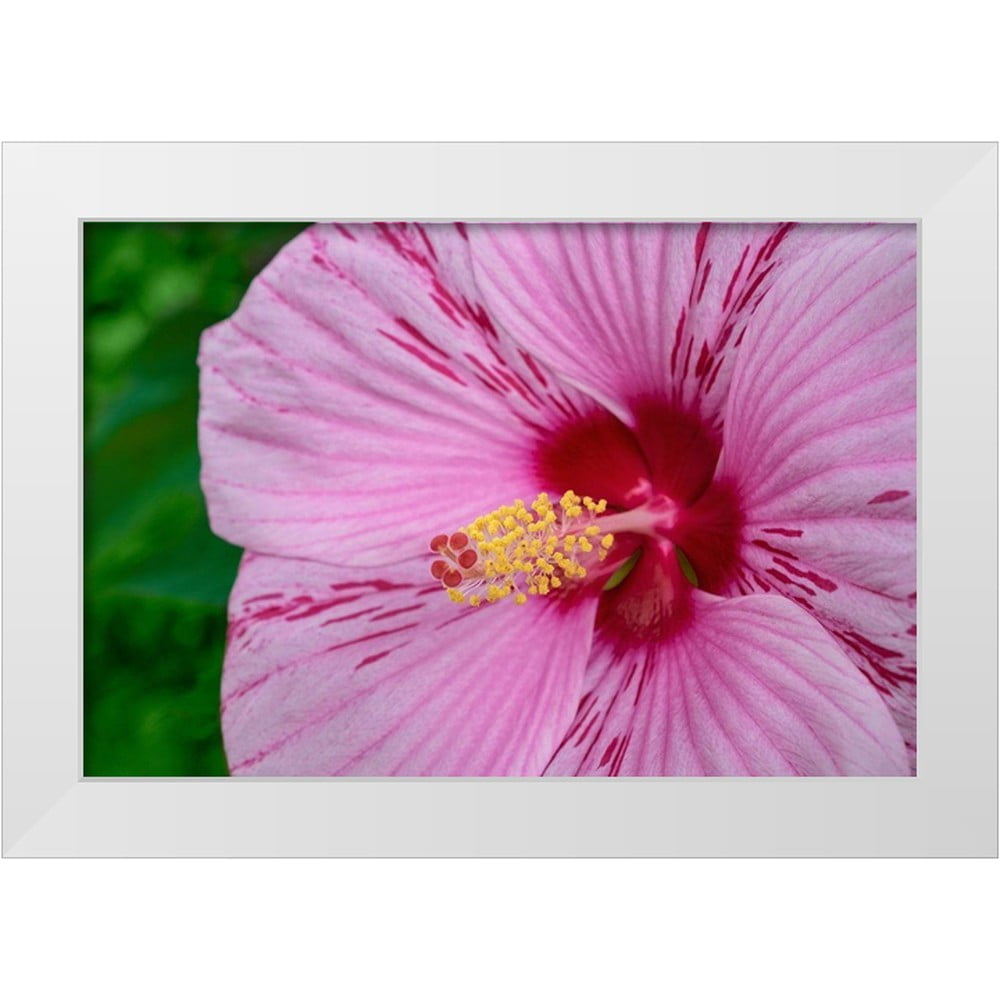 Engelbrecht, Lisa S. 32x23 White Modern Wood Framed Museum Art Print ...