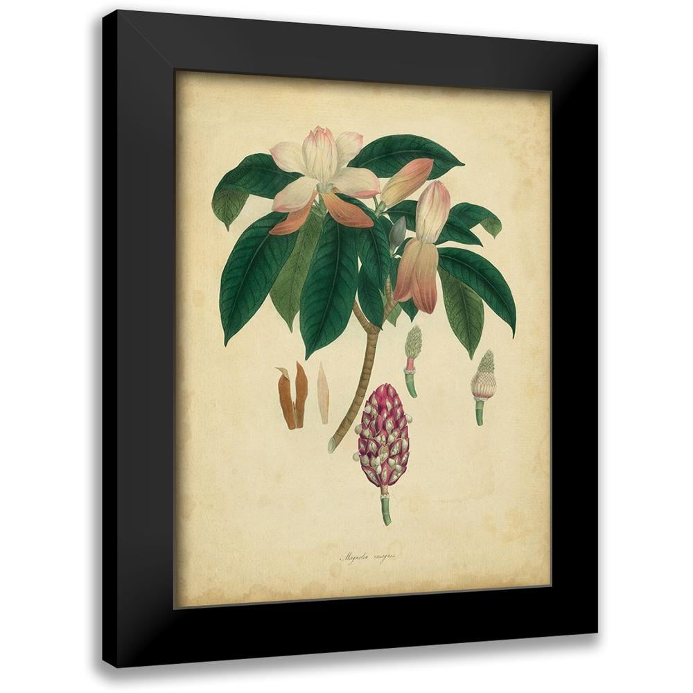 Engelmann 15x18 Black Modern Framed Museum Art Print Titled - Custom ...