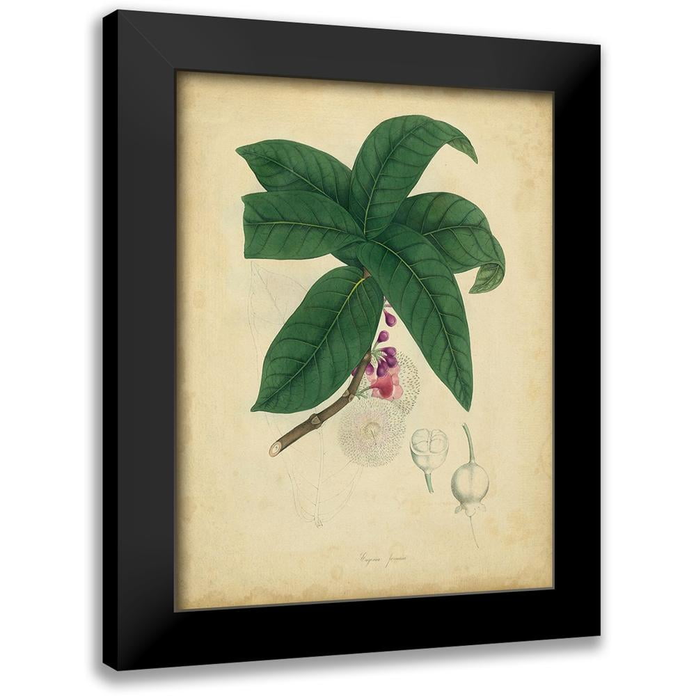 Engelmann 15x18 Black Modern Framed Museum Art Print Titled - Custom ...