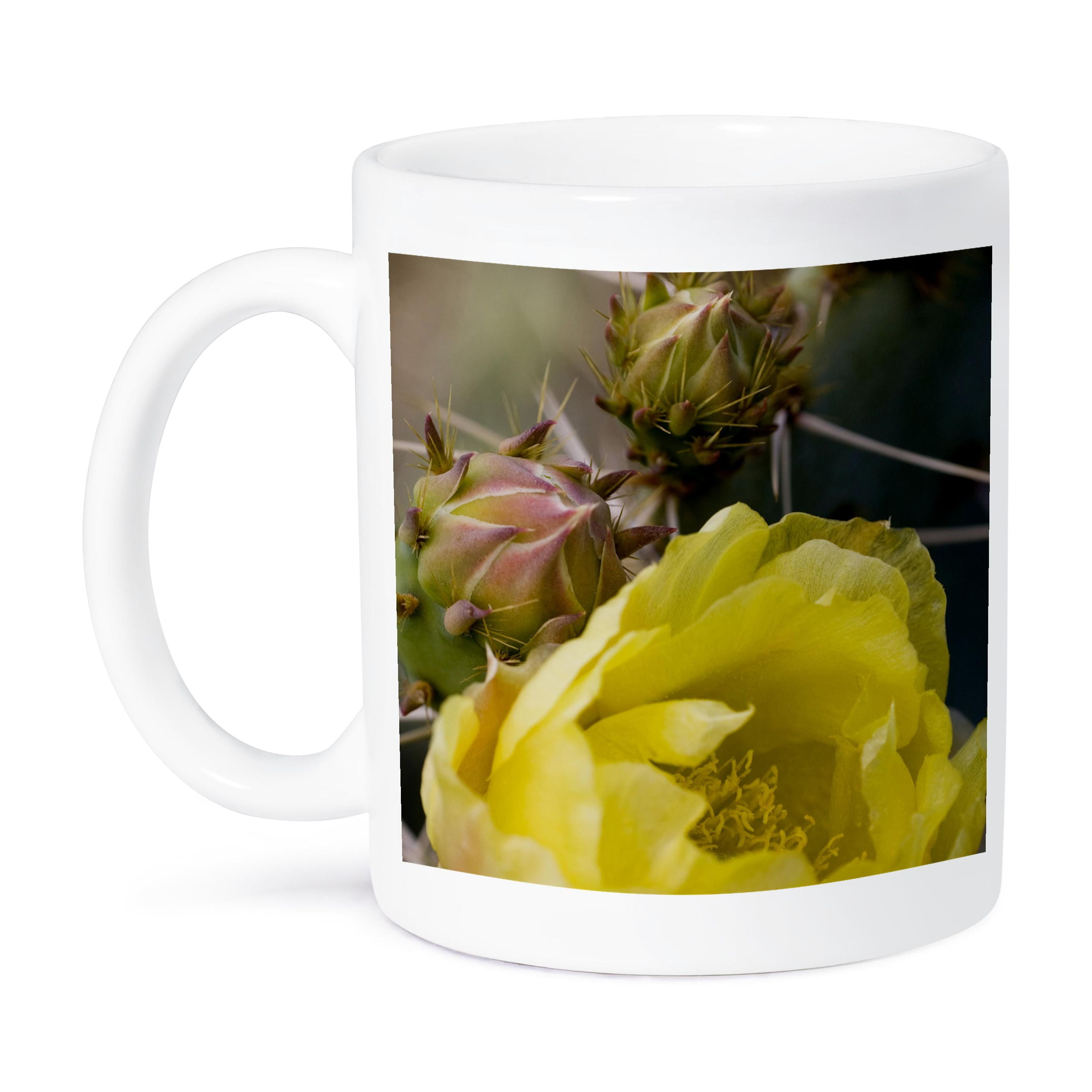 Engelmann Prickly Pear Cactus, Sonoran Desert Arizona - Us03 Fzu0006 ...