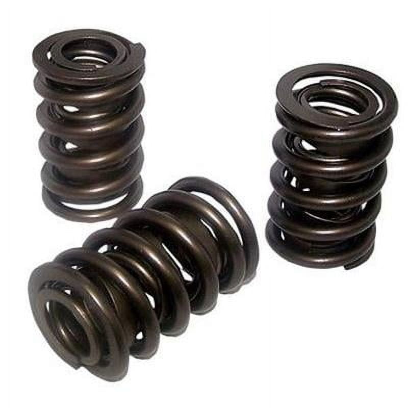Engine Works 960-16 Valve Springs Heavy-Duty Dual with Damper 1.540 in ...
