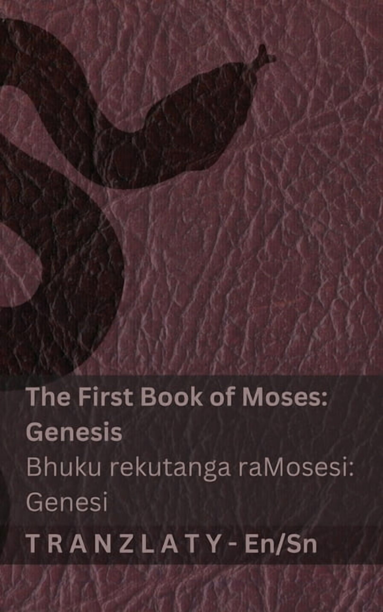 English Chishona The Bible / Bhaibheri - The First Book of Moses ...