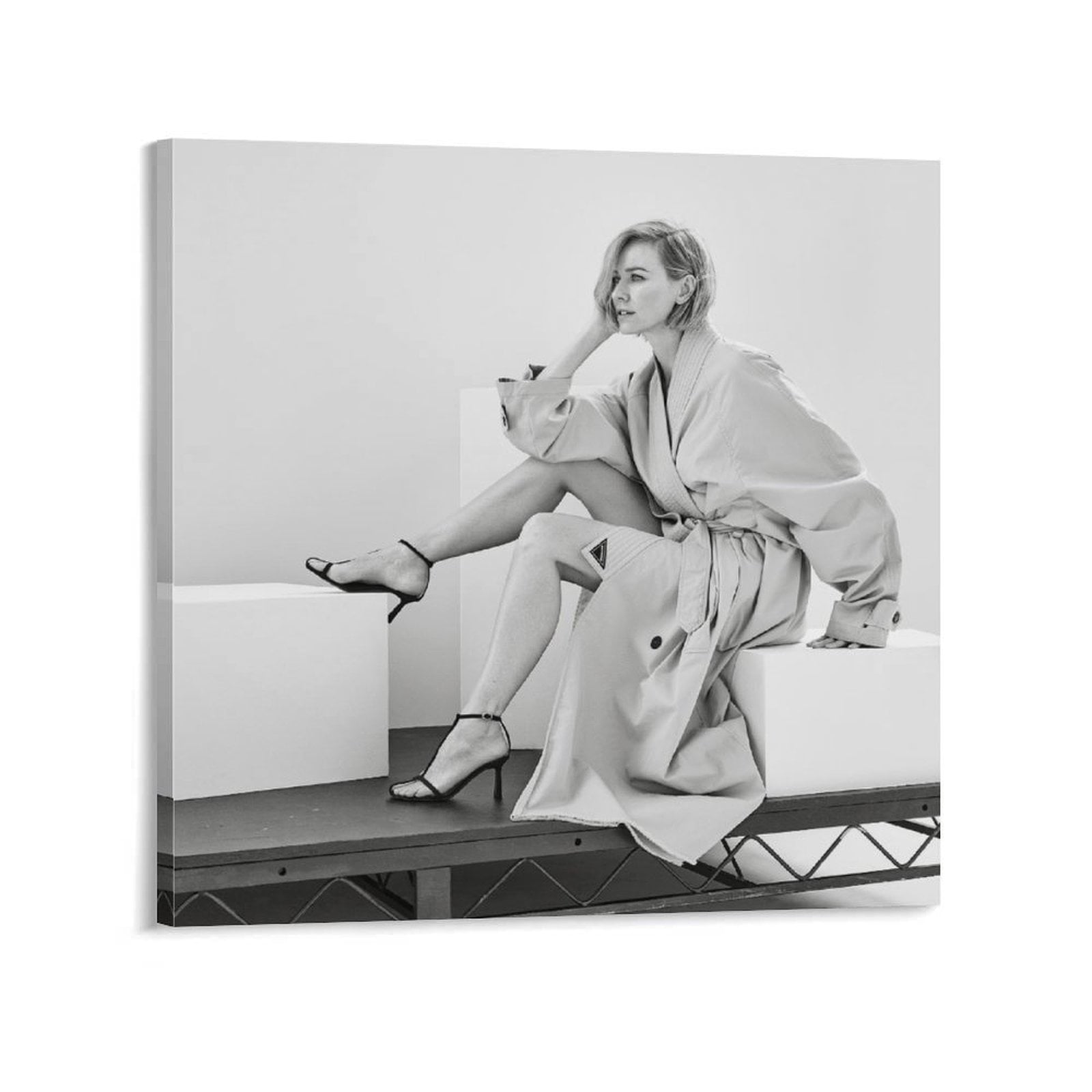 English Film Producers Naomi Watts Black And White Sexy Poster Print ...