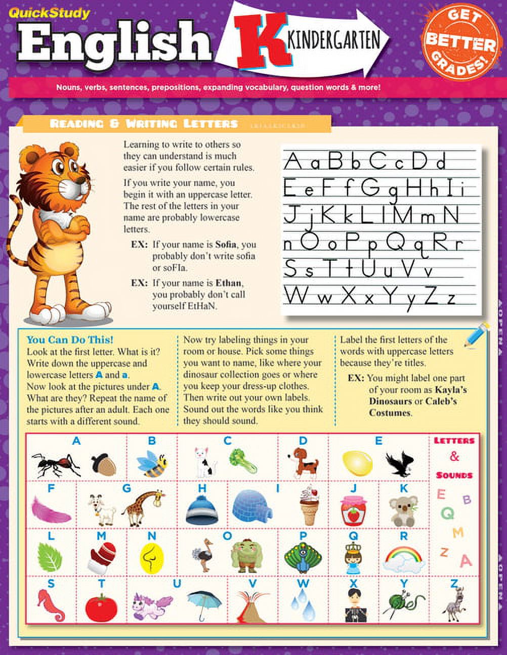 English Lanuage Arts (ELA) - Kindergarten : a QuickStudy Laminated ...