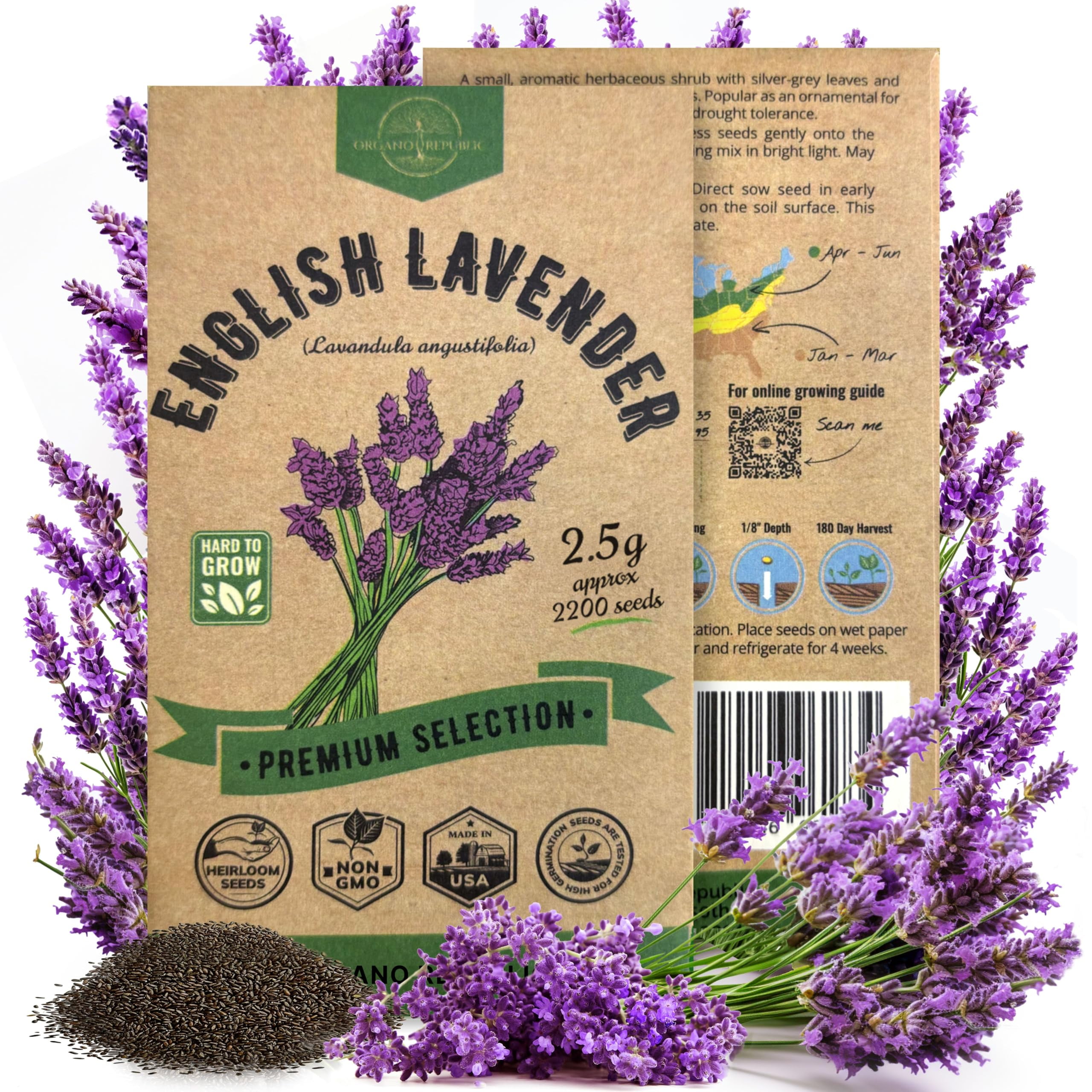 English Lavender Seeds Pack 2.50G - Over MHD12200 Non-GMO Heirloom ...