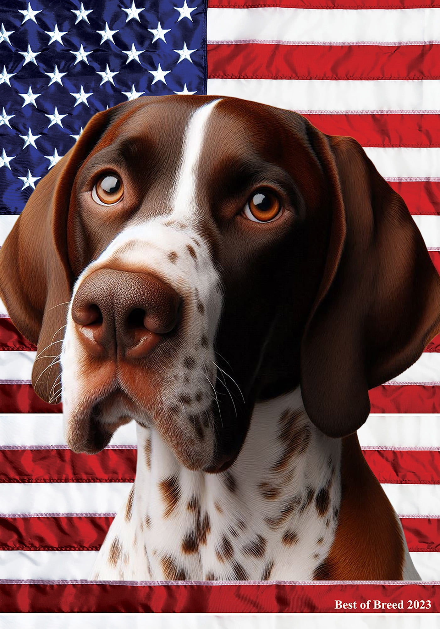 English Pointer Liver/White - Best of Breed All-American Patriotic III ...
