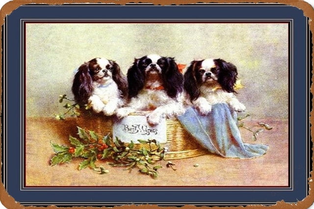 English Print Cavalier King Charles Spaniel Dog Dogs Puppy Puppies Art ...