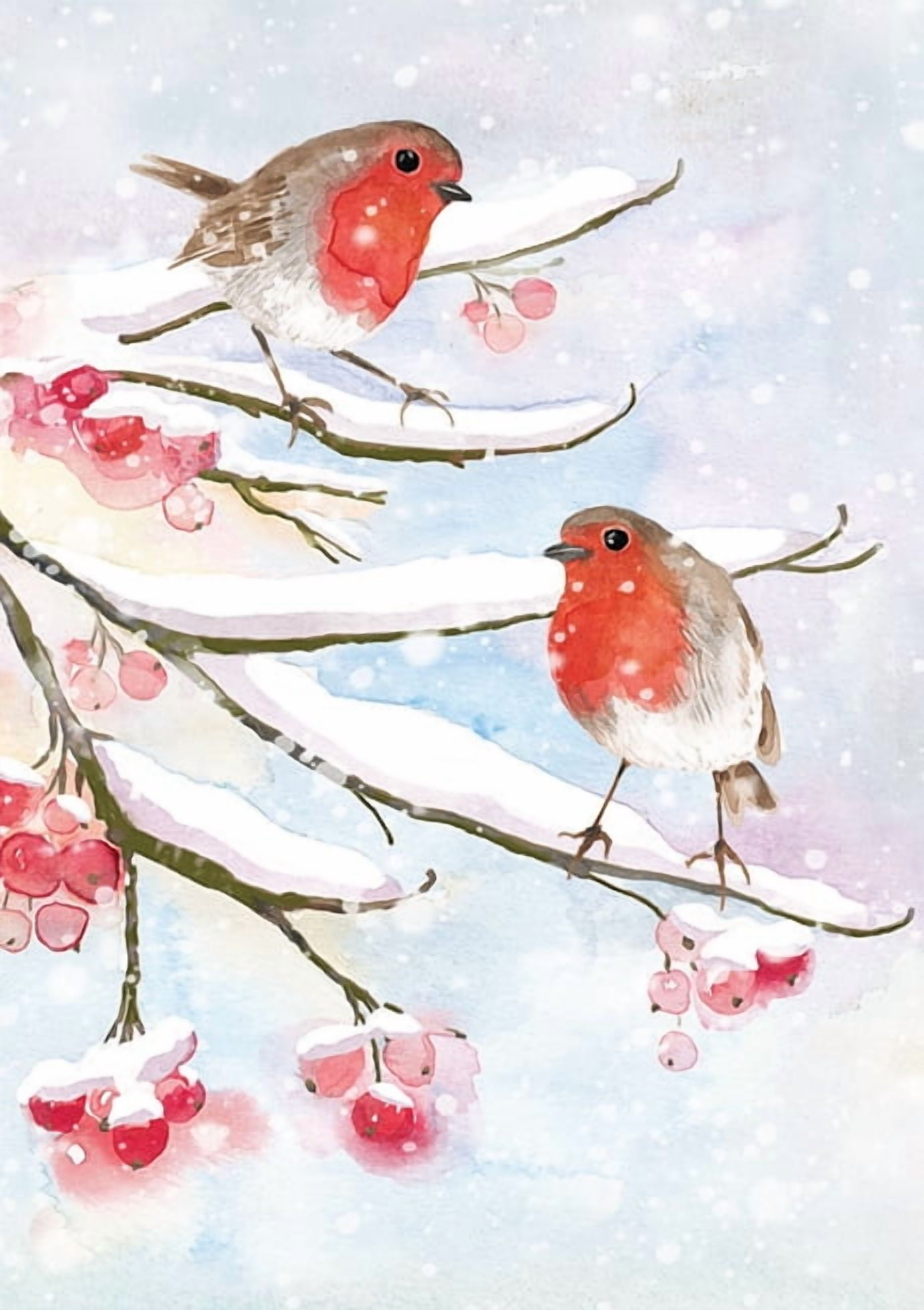 English Robins in Snow Small Boxed Holiday Cards (20 Cards, 21 Self ...