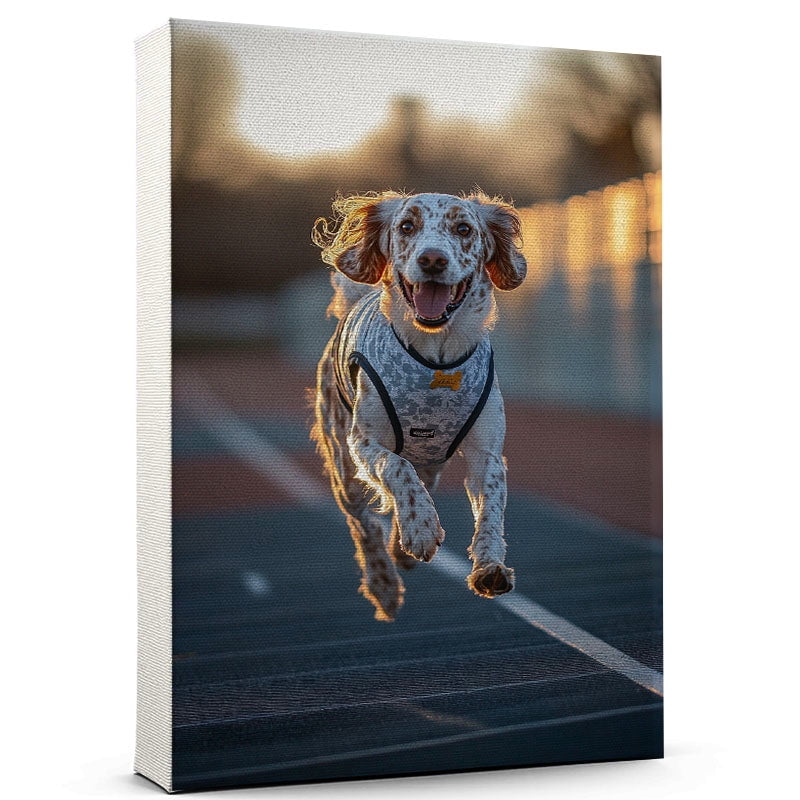 English Setter Cute Dog Running Stretched Canvas Size 8x12 – Retro ...