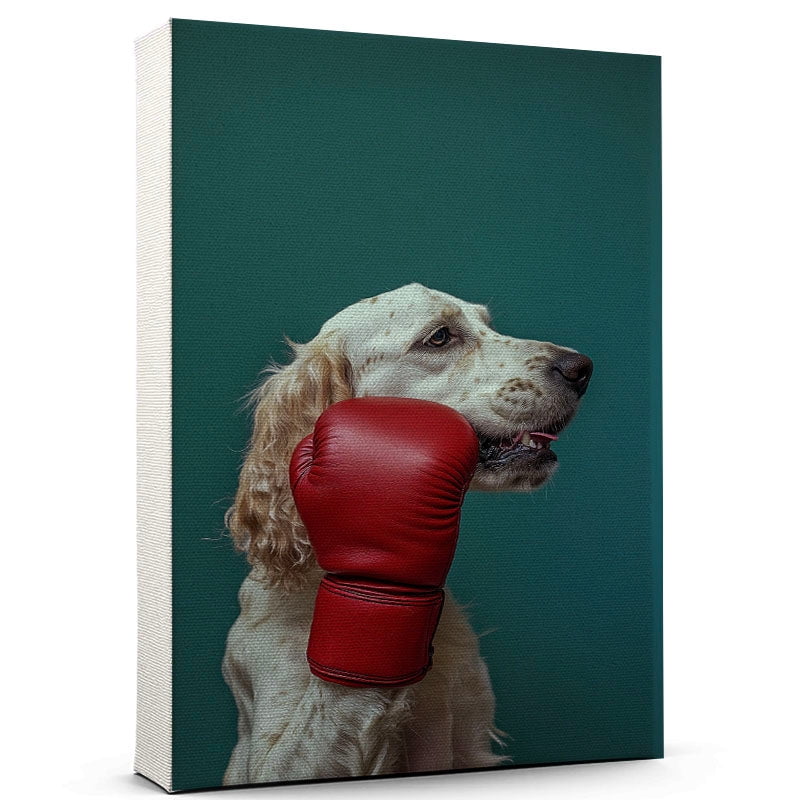 English Setter Dog Stretched Canvas Size 8x12 Boxing Canvas – Funny ...