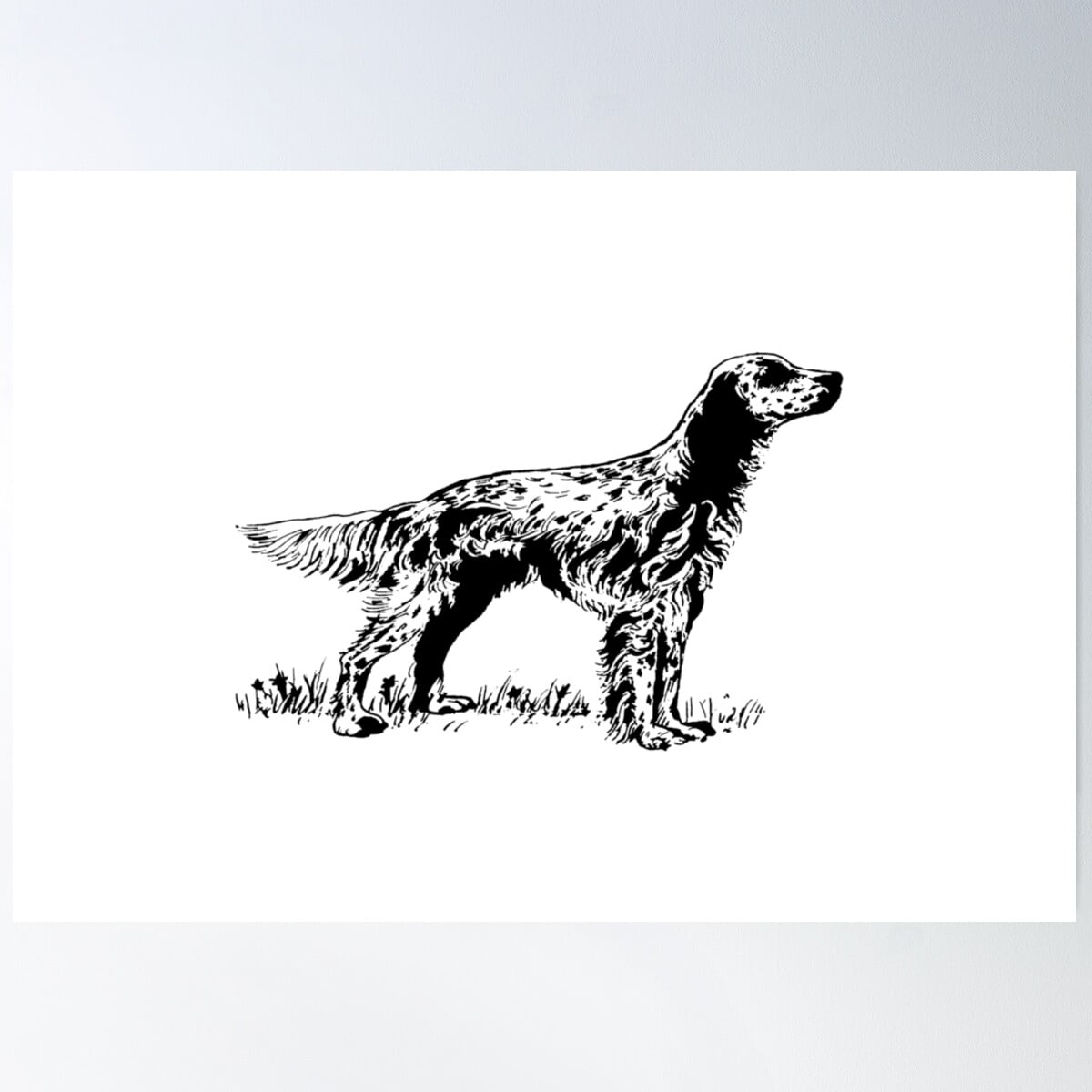 English Setter Poster, 12x18 UNFRAMED - Walmart.com