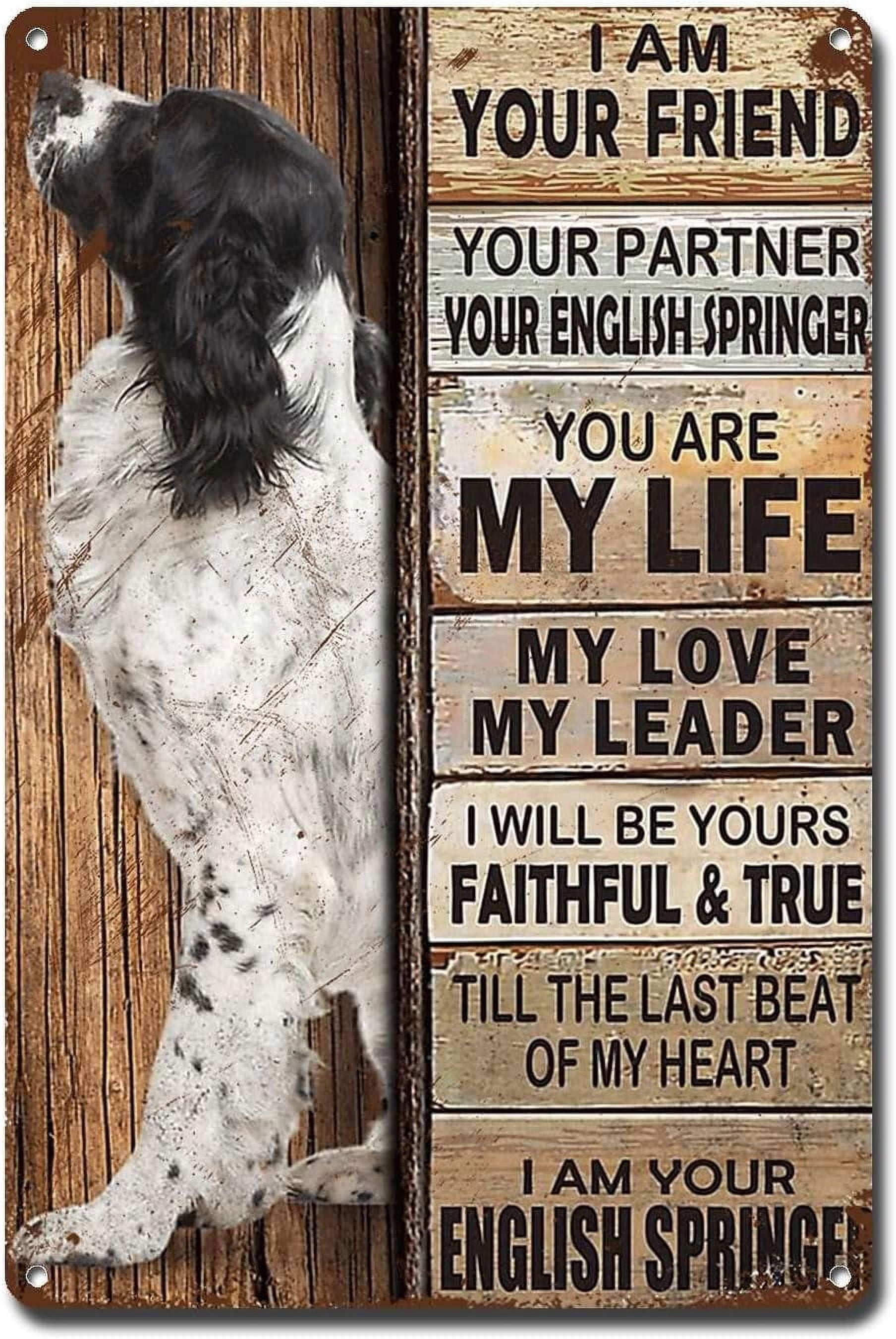 English Springer Spaniel 5D Diamond Painting Kit - I Am Your Friend ...