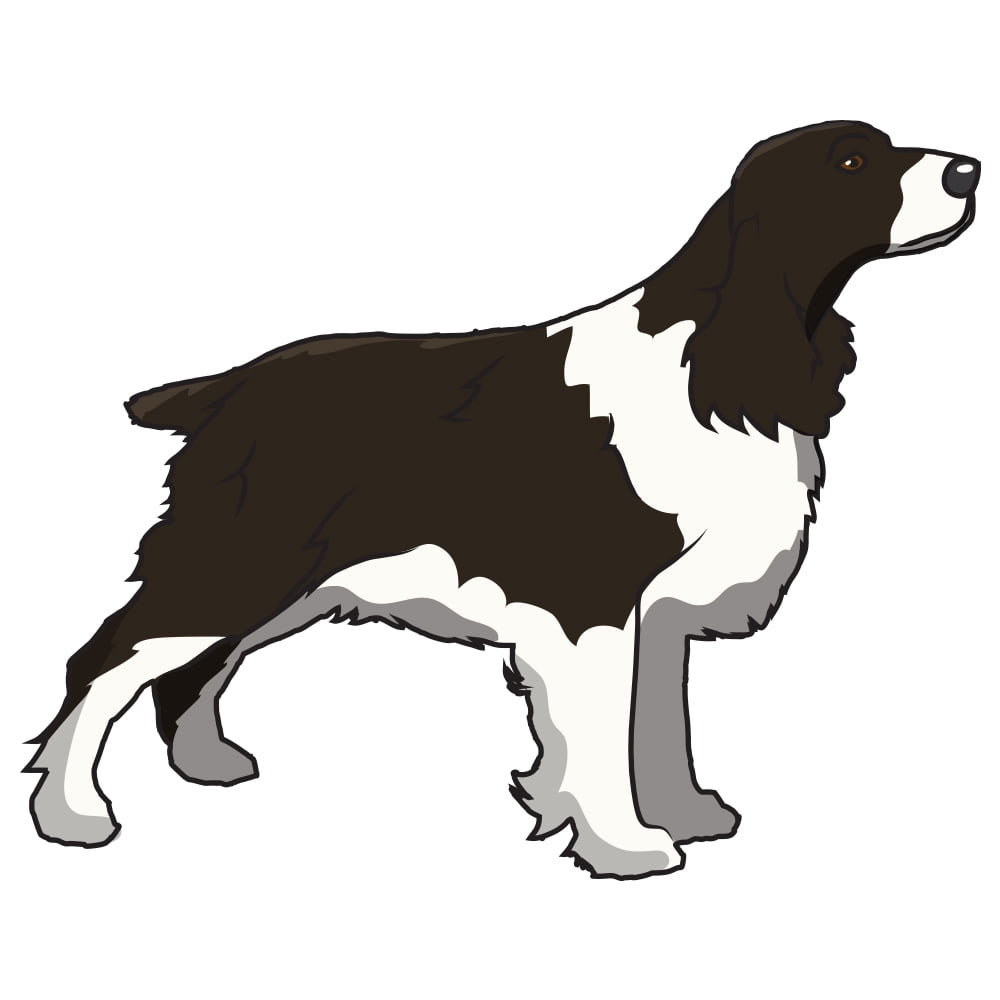 English Springer Spaniel Decal | Indoor/Outdoor | Dog Lover Super Cute ...
