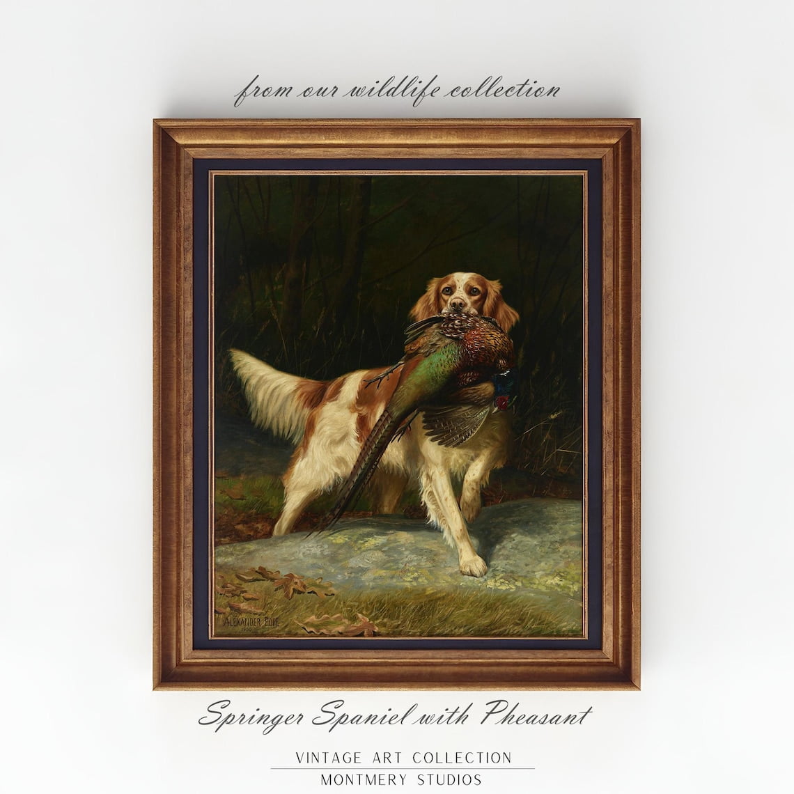 English Springer Spaniel With Pheasant, Hunting Dog Wall Art, American ...