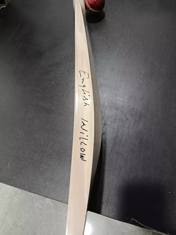 English Willow Plain Cricket Bat – Fully Knocked-In and Ready for Play ...