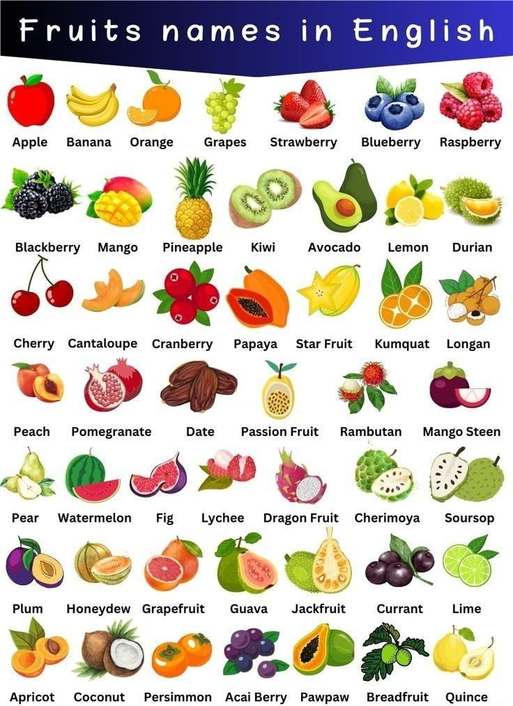 English names of fruits Poster Healthy nutrition checklist poster meal ...