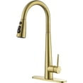 Enhance Kitchen Convenience with Stylish Pull Down Sprayer Faucet High ...