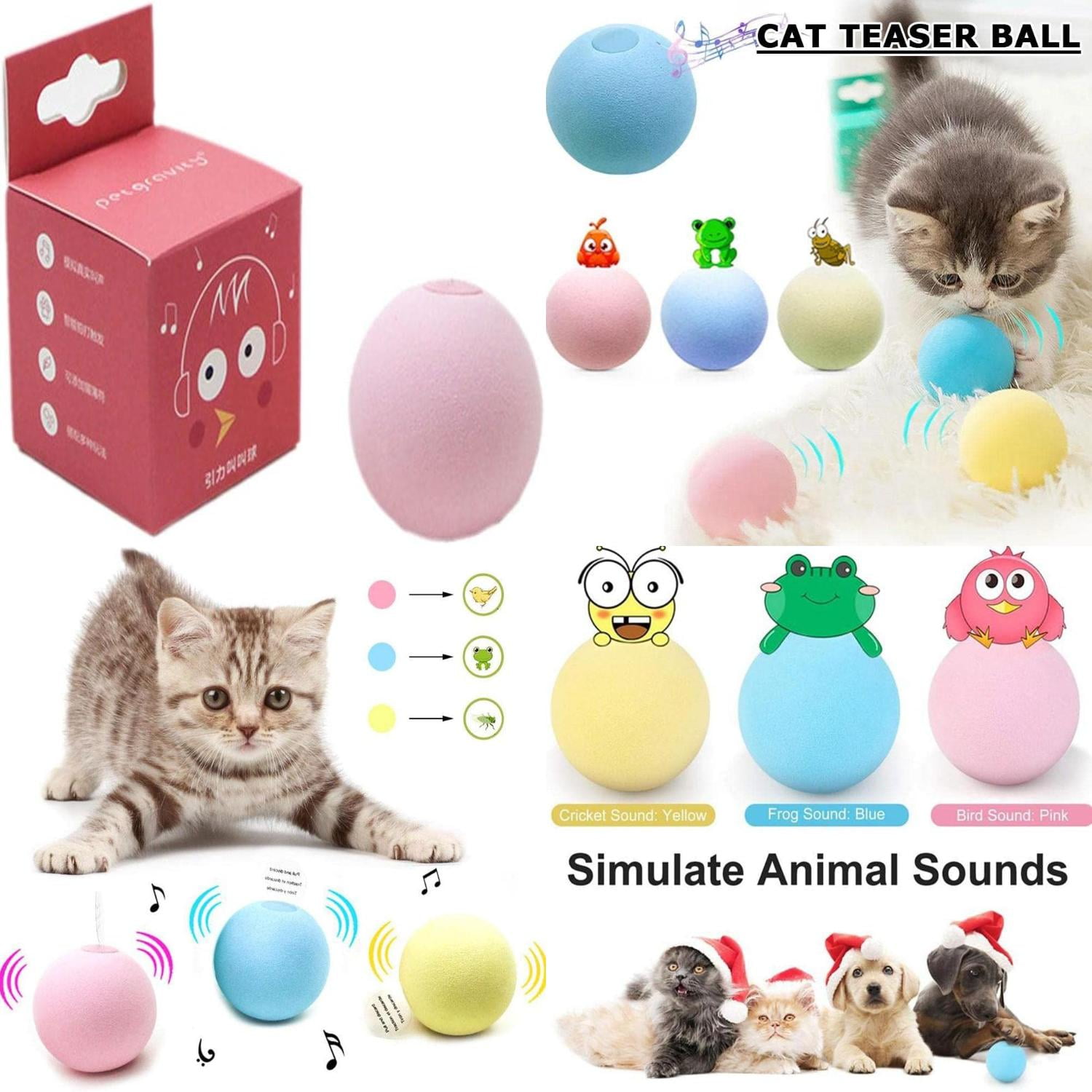 Enhance Your Cat‘s Play Experience With This Exciting Innovative And