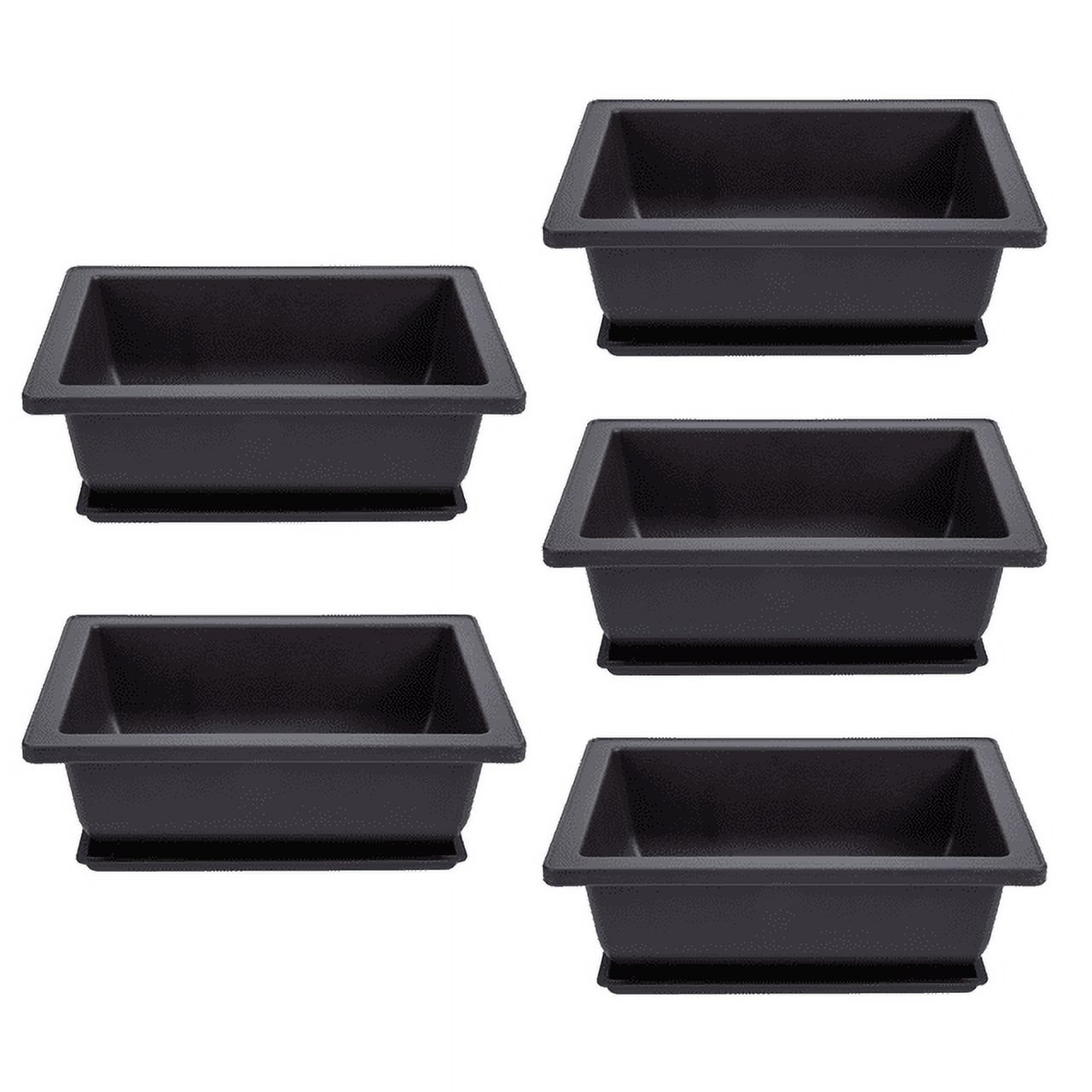 Enhance Your Home Decor and Garden Beauty with 5 Beautiful Succulent ...