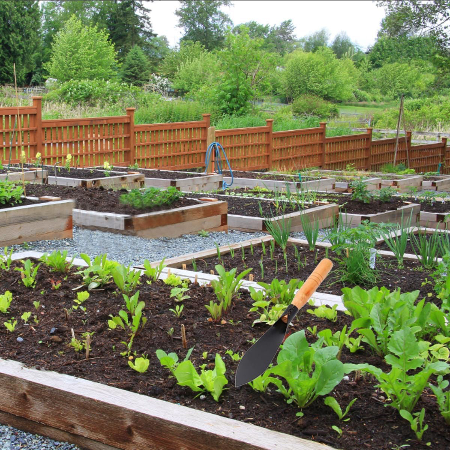 Enhance your gardening experience with premium durable tools for ...