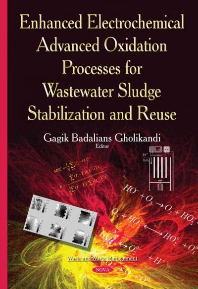 Enhanced Electrochemical Advanced Oxidation Processes for Wastewater ...