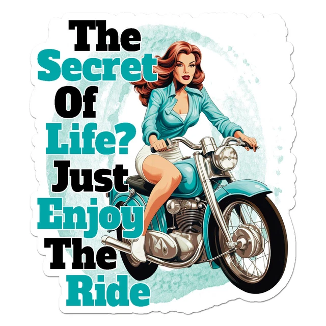 Enjoy The Ride Sticker Phone Decal Water Bottle Stickers Car Decals ...