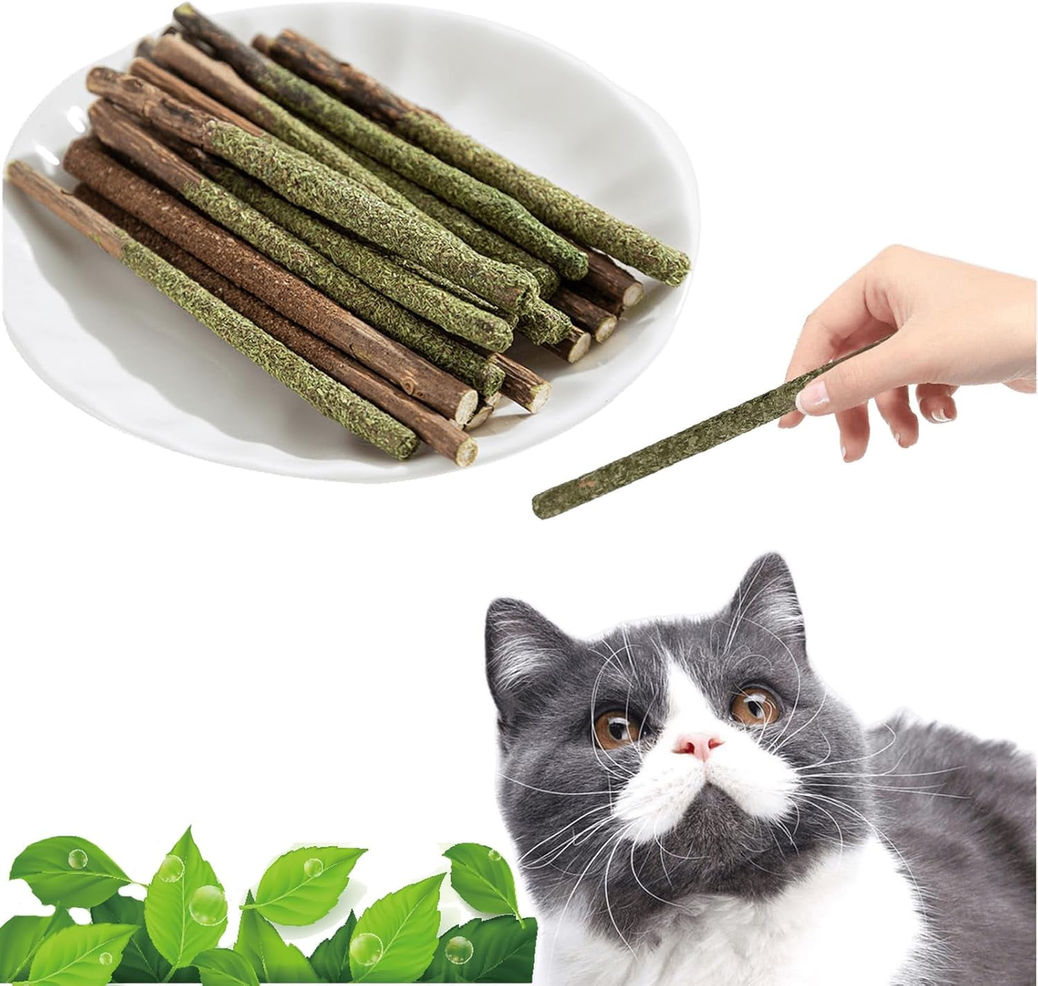 Enkarl Natural Silvervine Sticks for Cats,Catnip Cat & Kitten Chew Toys ...