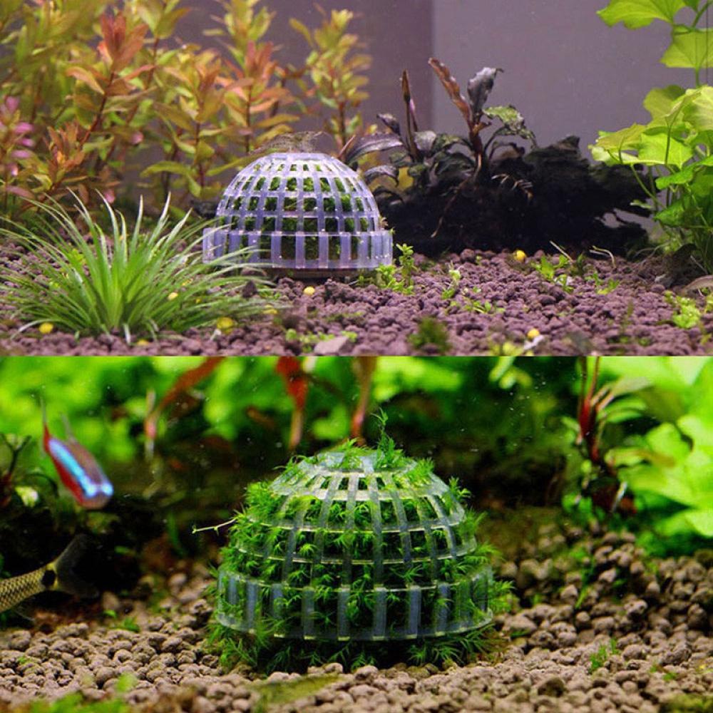 Enlightened Aquarium Transparent Landscaping Plants Holder Floating ...
