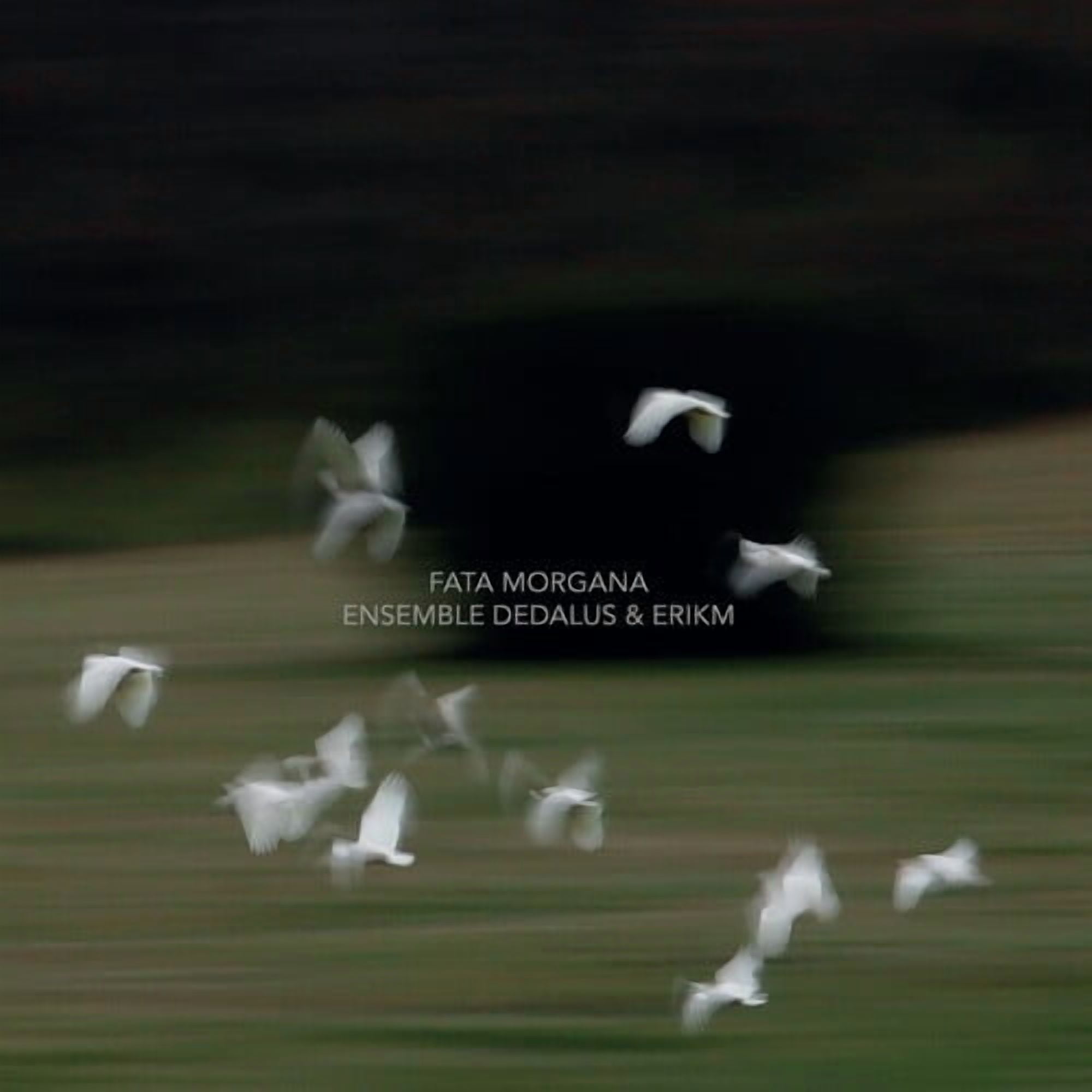 Ensemble Dedalus - FATA MORGANA - Music & Performance - CD - Walmart.com